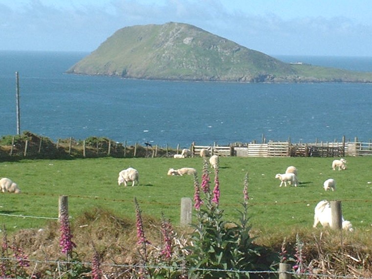 Enlli – Bardsey Island – Lleyn Holidays