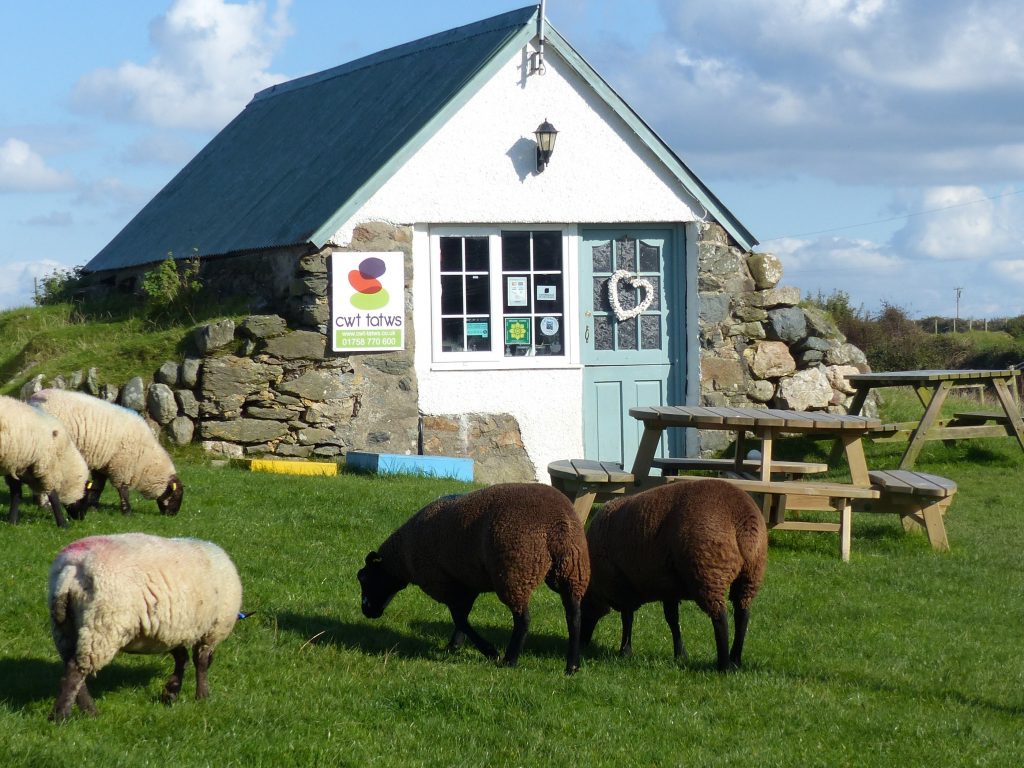 Porth Ysgaden & Towyn – Lleyn Holidays